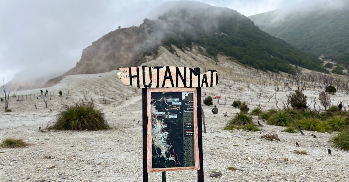 Tinder et les types de personnalité : Explorez le lien avec le test ...