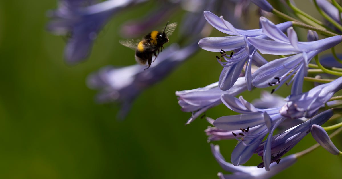 Bumble Backtrack : définition et astuces pour une utilisation optimale ...